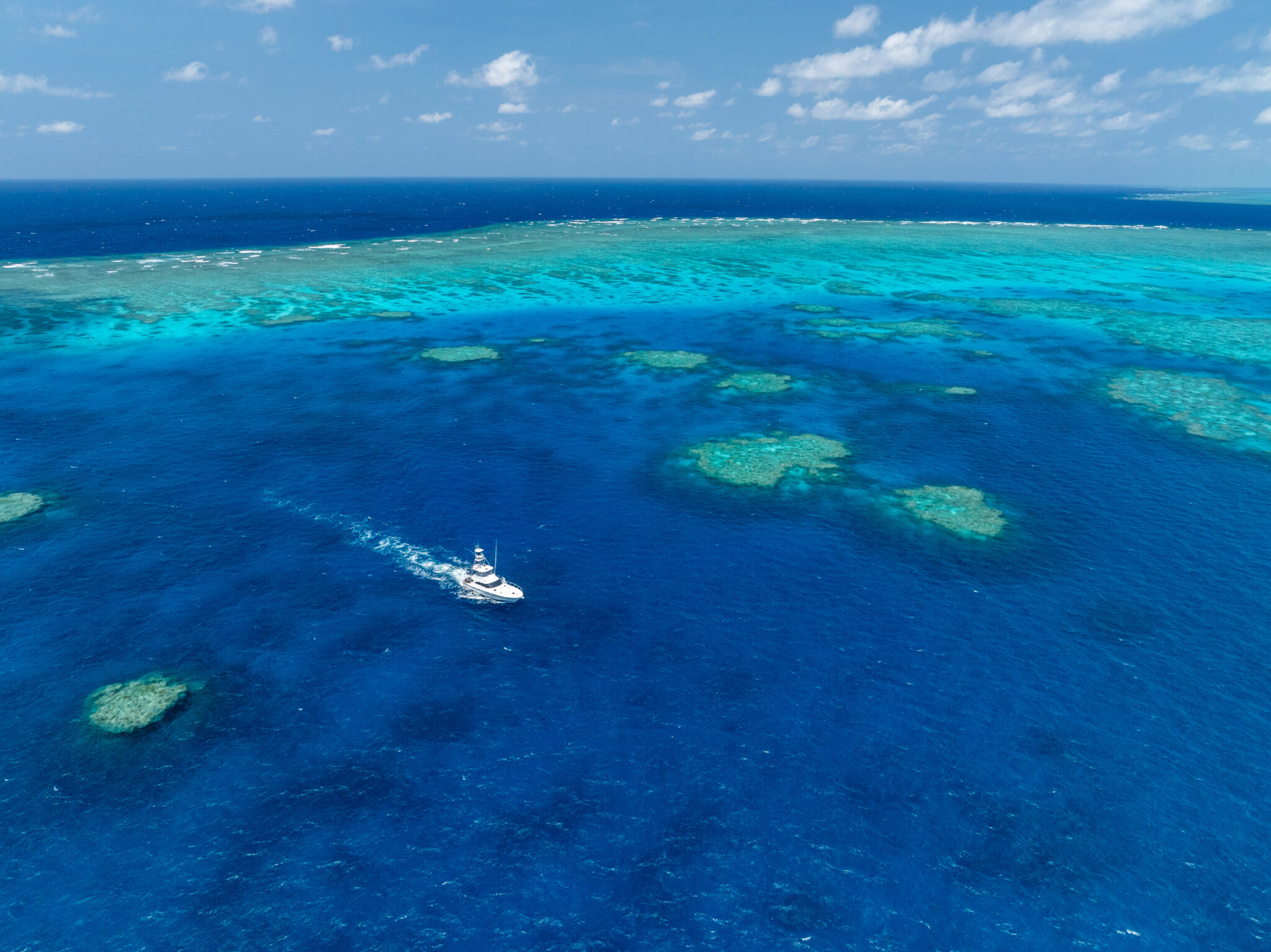 Luxury Yacht & Game Fishing Hire | Shore Thing