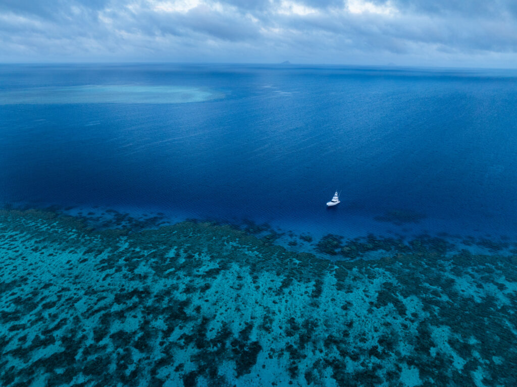 Luxury Yacht & Game Fishing Hire | Shore Thing